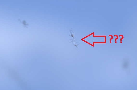 %d9%84%d9%85%d8%a7%d8%b0%d8%a7-%d8%aa%d8%b1%d9%8a-%d8%a8%d9%82%d8%b9 ...